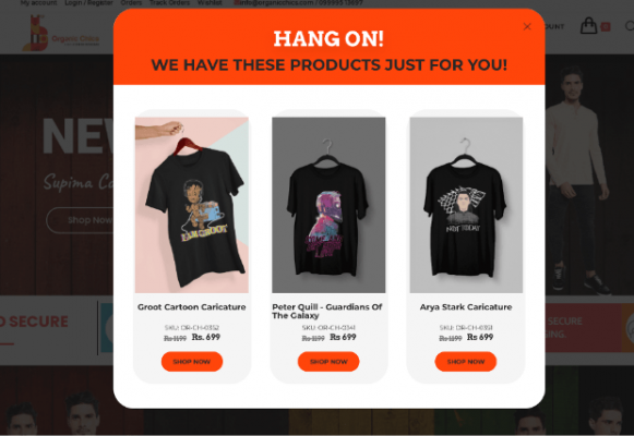 13 Best Popup Designs Examples To Get New Customers for Ecommerce